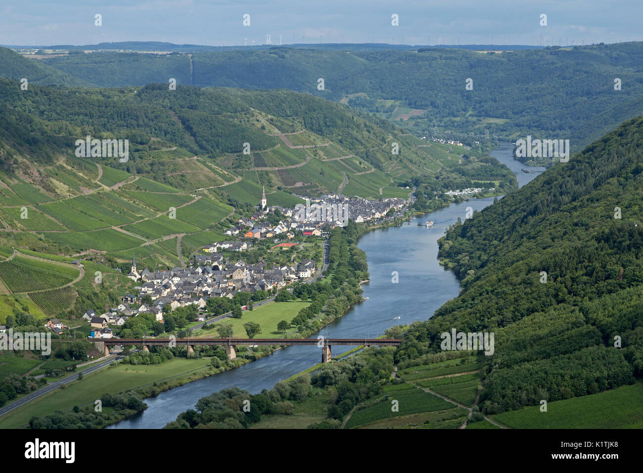 Eller hi-res stock photography and images - Alamy