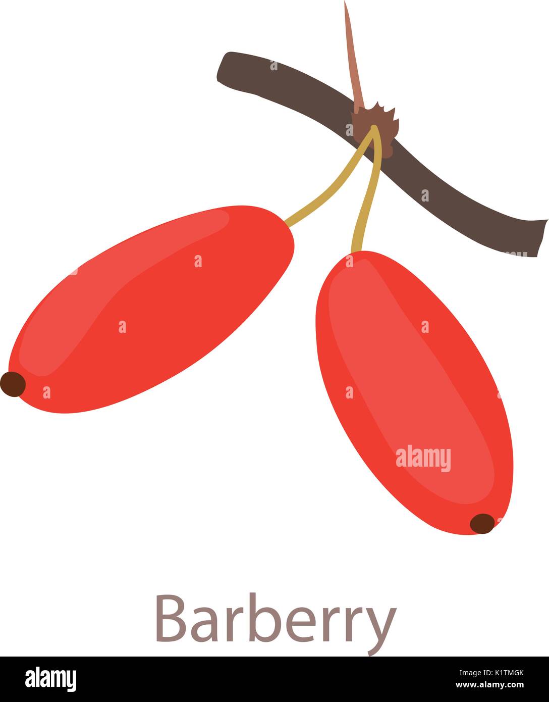 Barberry farm hi-res stock photography and images - Alamy