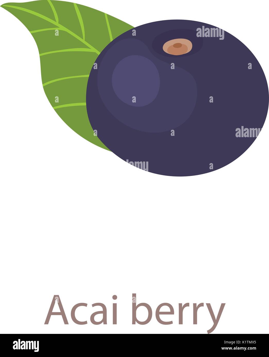 Acai berry icon, isometric 3d style Stock Vector Image & Art - Alamy
