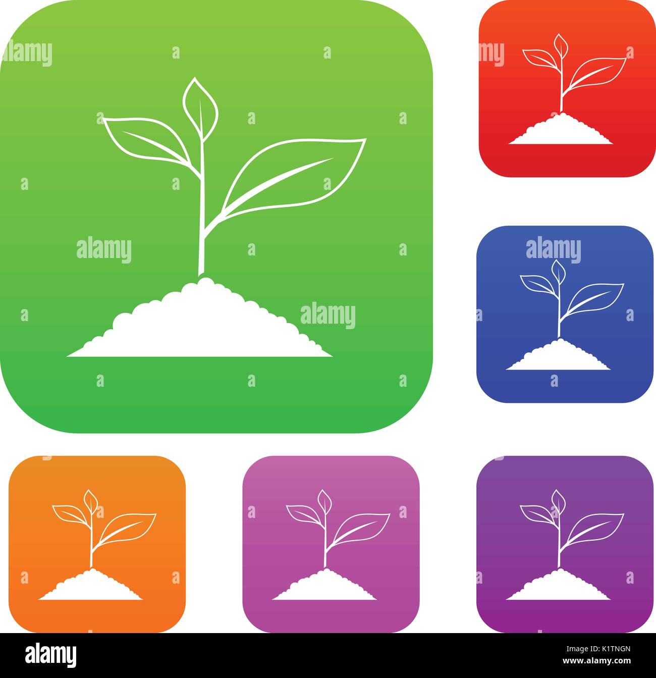 Ure icon hi-res stock photography and images - Alamy