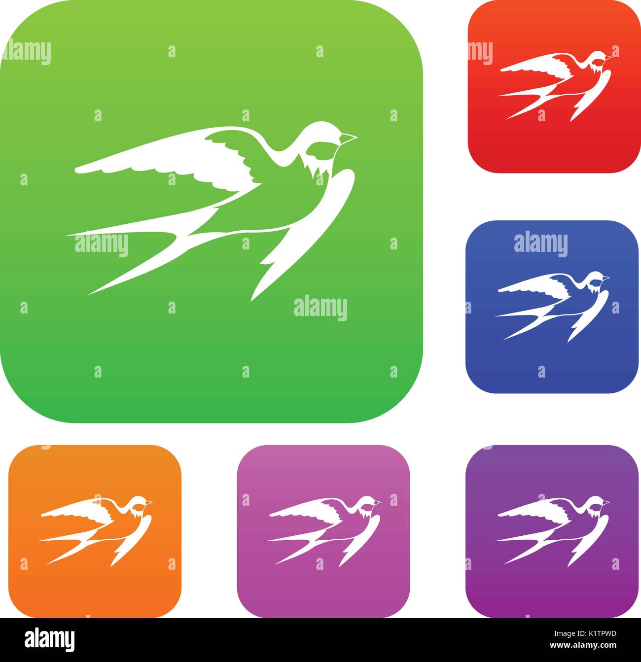 Barn swallow set collection Stock Vector Image & Art - Alamy