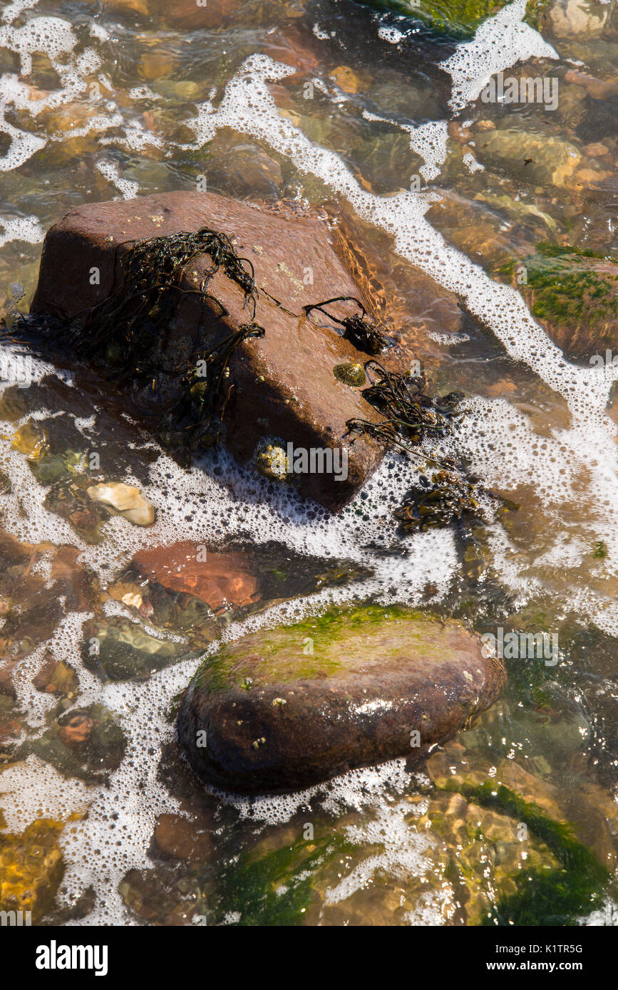 beach close up Stock Photo - Alamy