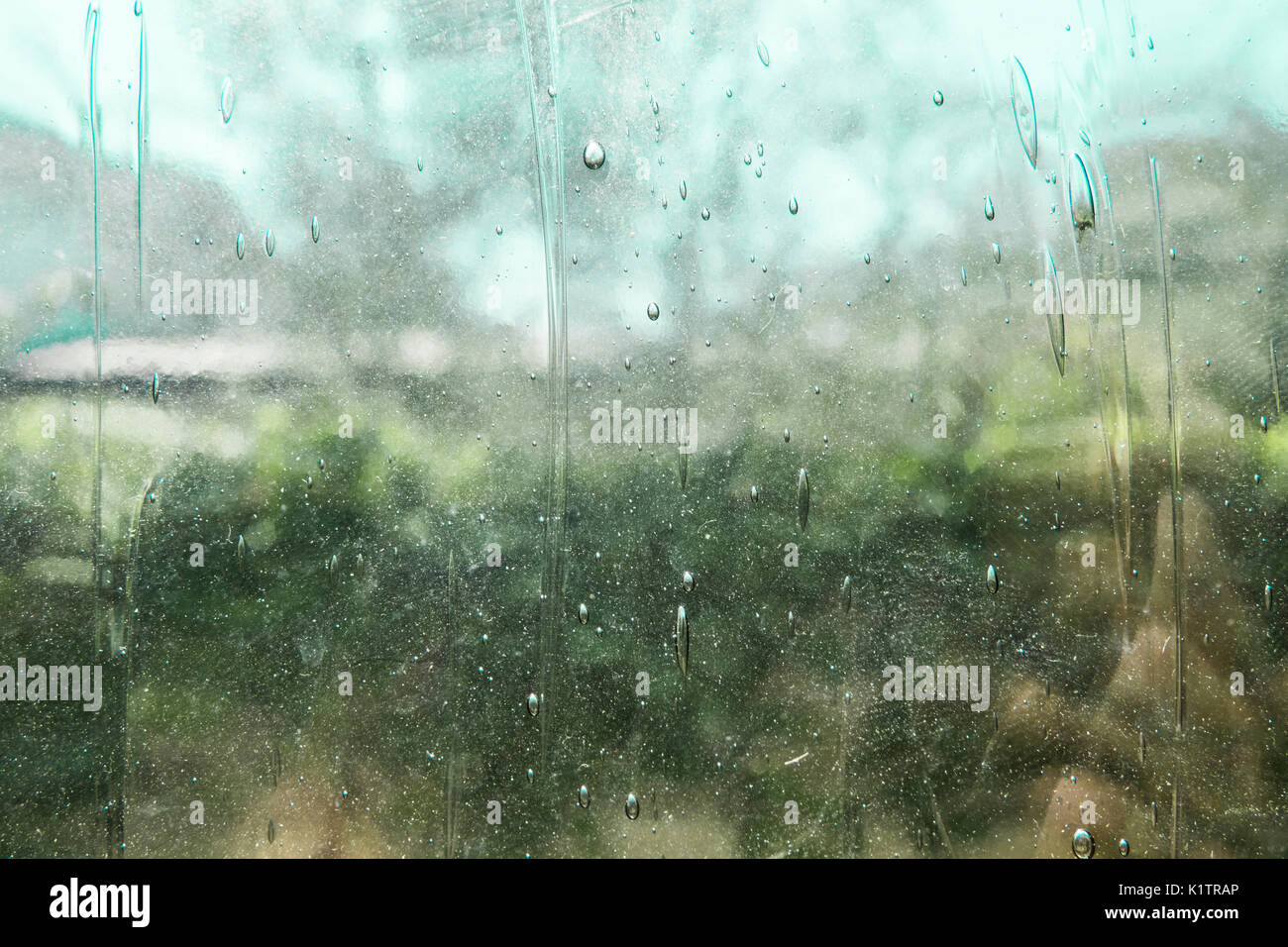 drawn artistic glass and colored, sample for windows and doors Stock ...