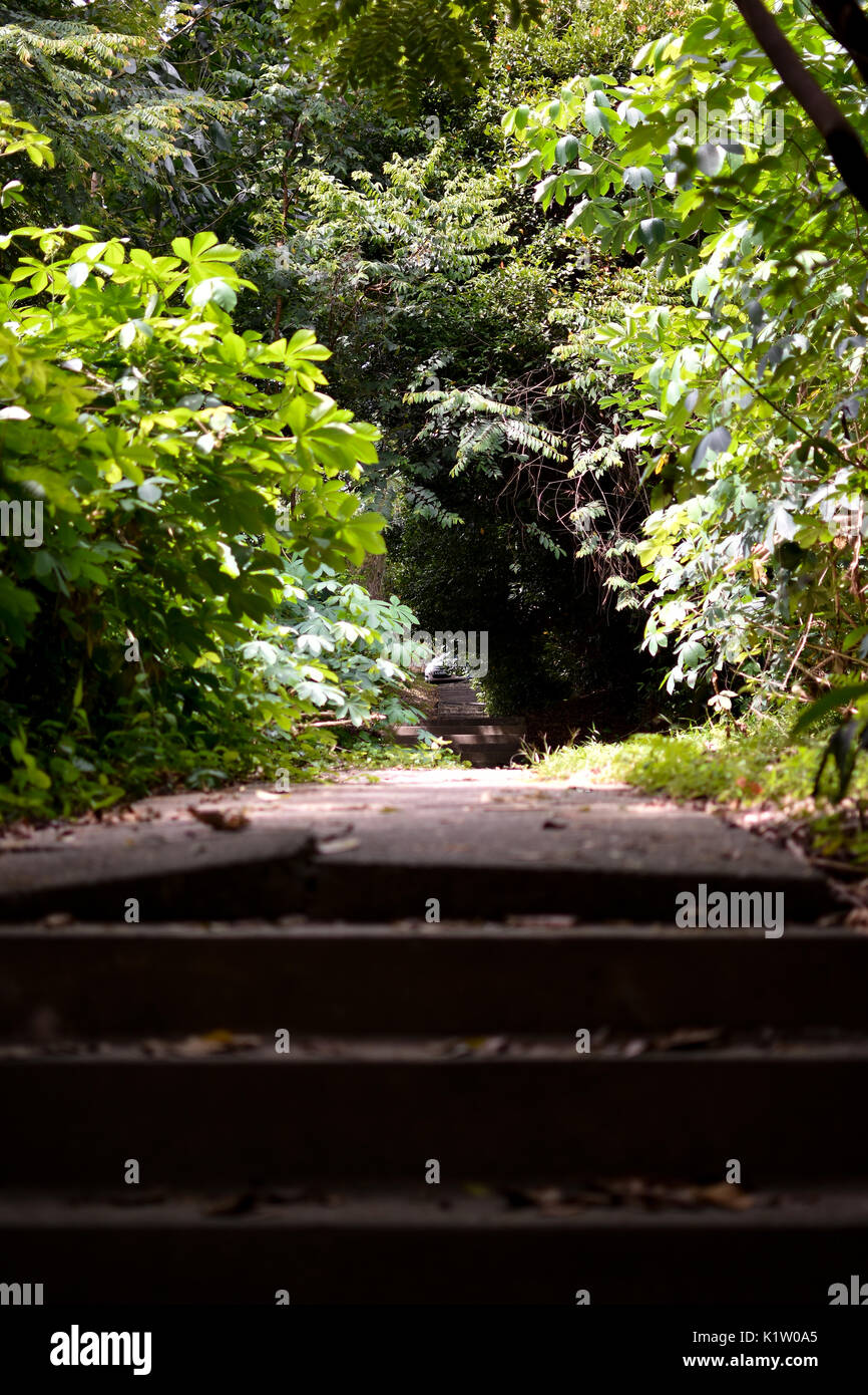 Secret gardens hi-res stock photography and images - Alamy