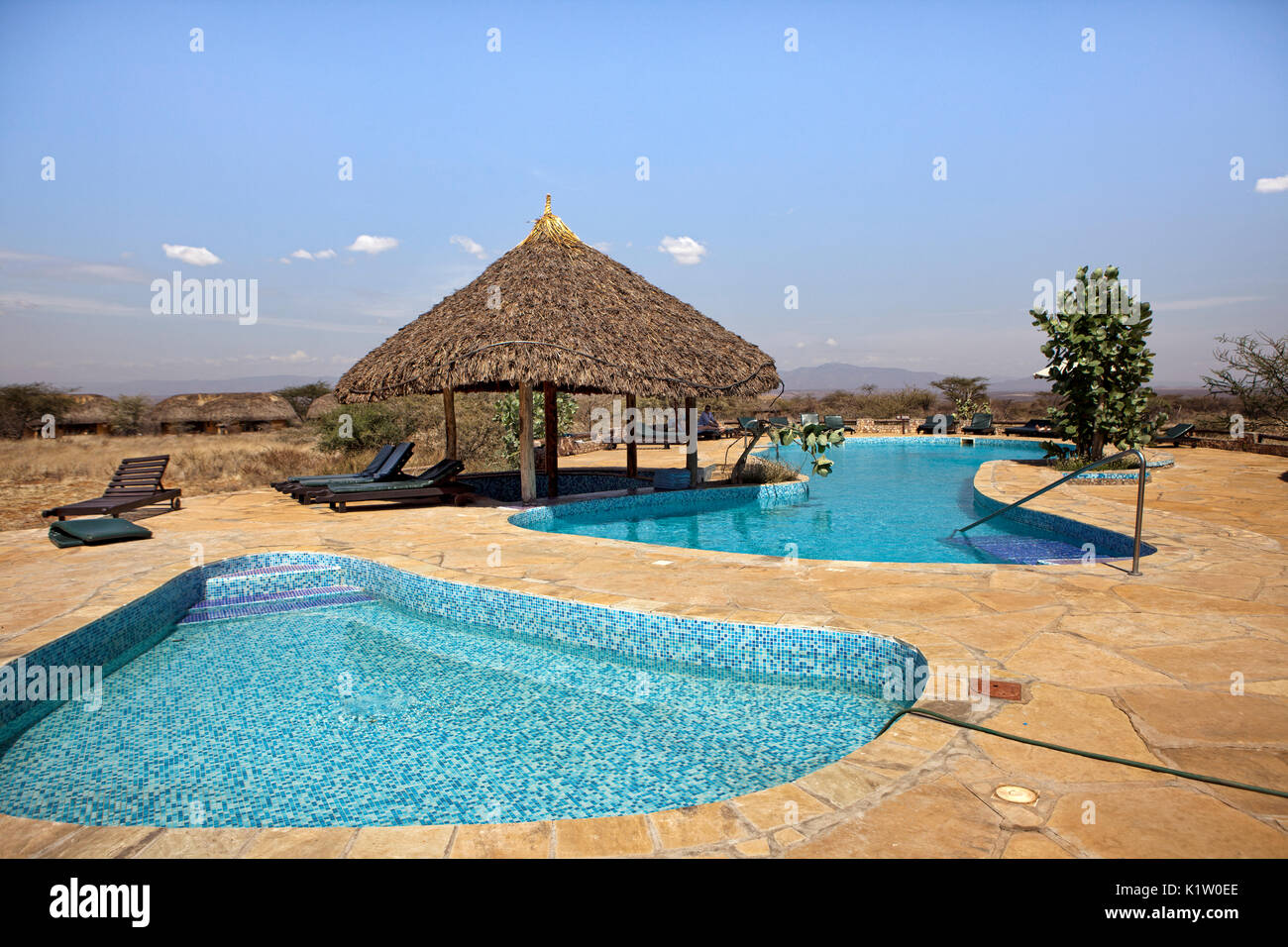 African safari lodge pool and wildlife hi-res stock photography and ...