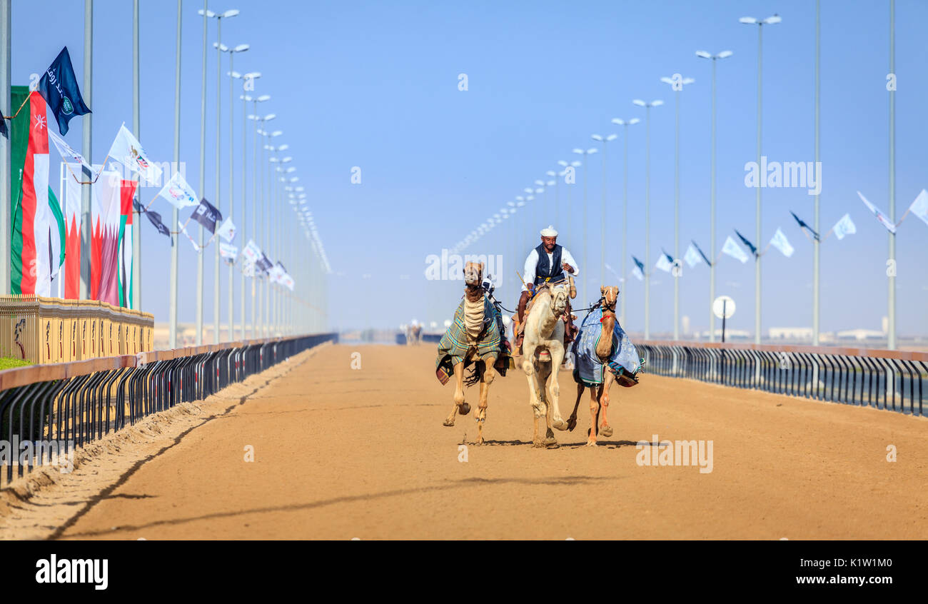 Dubai, United Arab Emirates - March 25, 2016: Practicing for camel ...