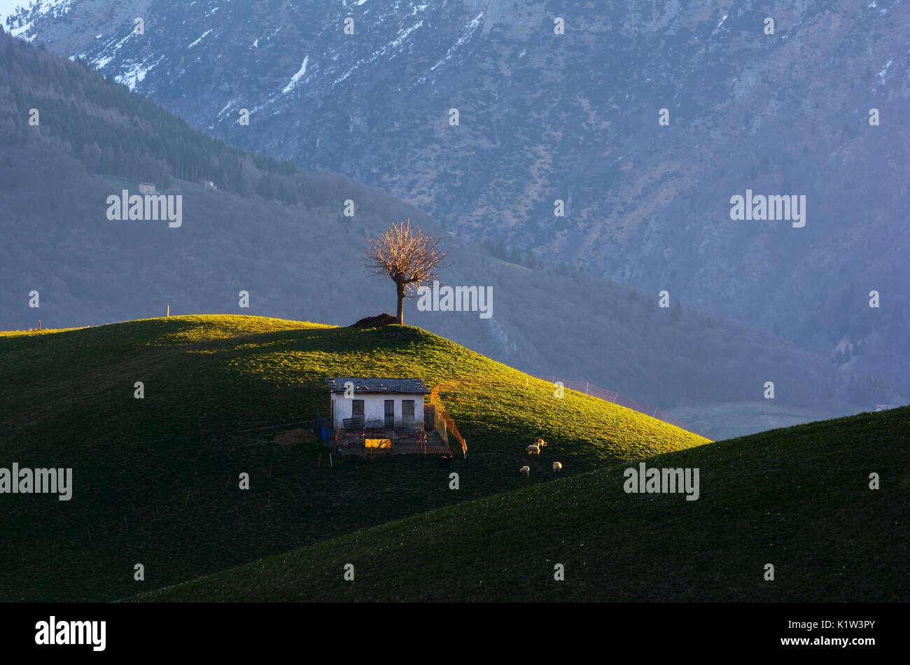 A natural picture of Val Serina, small valley in the province of ...