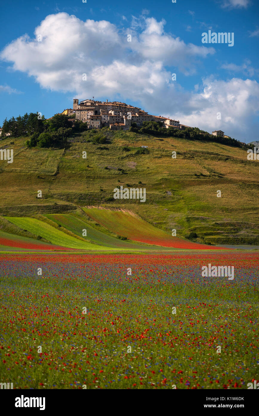 Europe,Italy, Umbria, Perugia district, Castelluccio of Norcia Stock ...