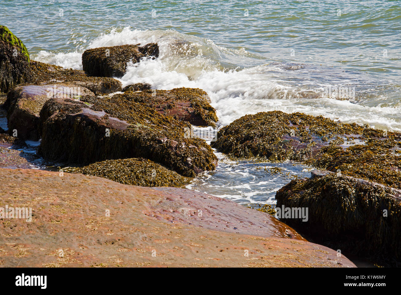 beach back grounds Stock Photo - Alamy