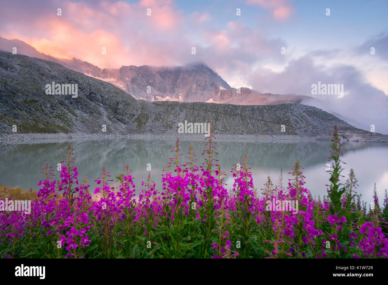 Mount Adamello at dawn in Adamello park, Brescia province, Lombardy ...