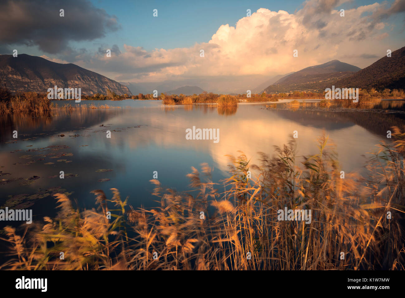 Torbiere del Sebino natural reserve, brescia province, italy, Europe ...