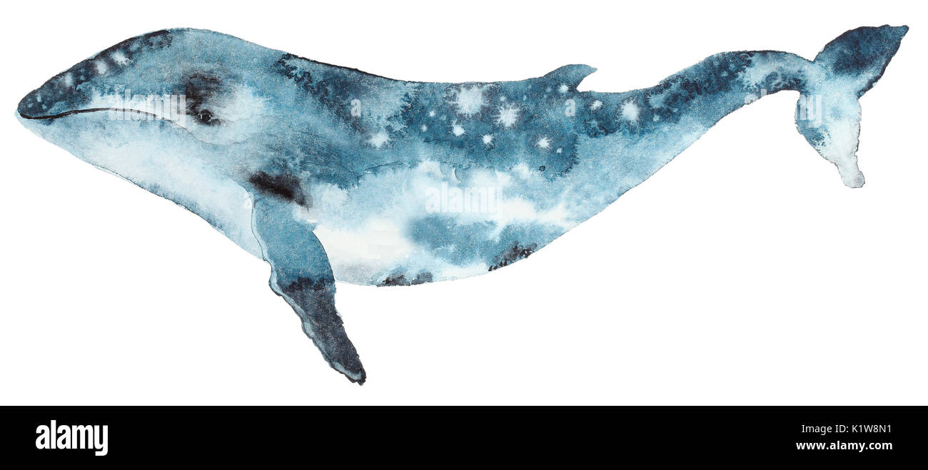 Blue whale watercolor illustration Cut Out Stock Images & Pictures - Alamy