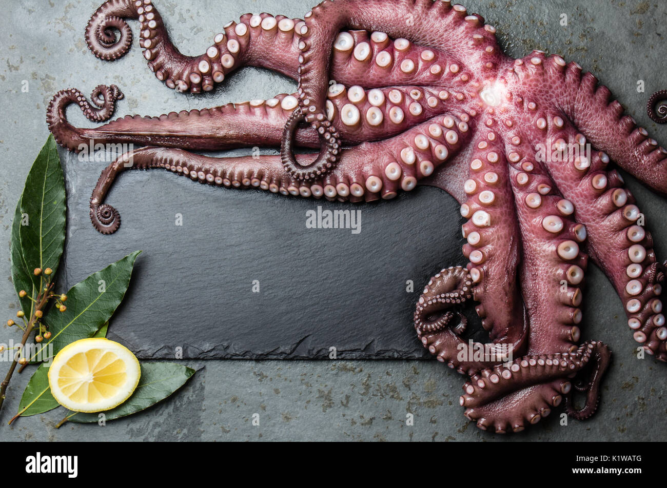 Octopus. Food background with seafood raw fresh octopus, laurel and ...