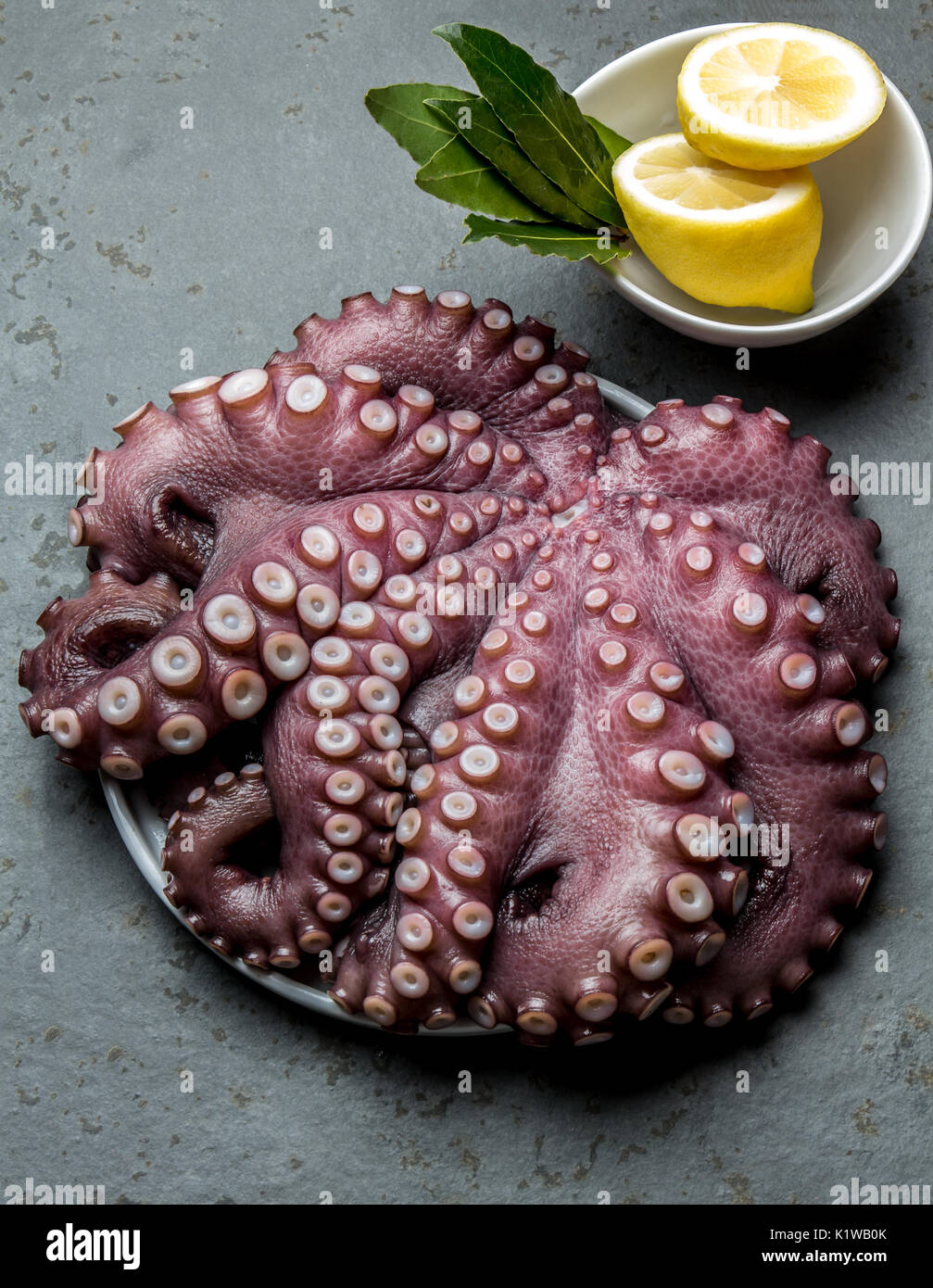 Seafood octopus. Whole fresh raw octopus on with lemon and laurel, gray ...