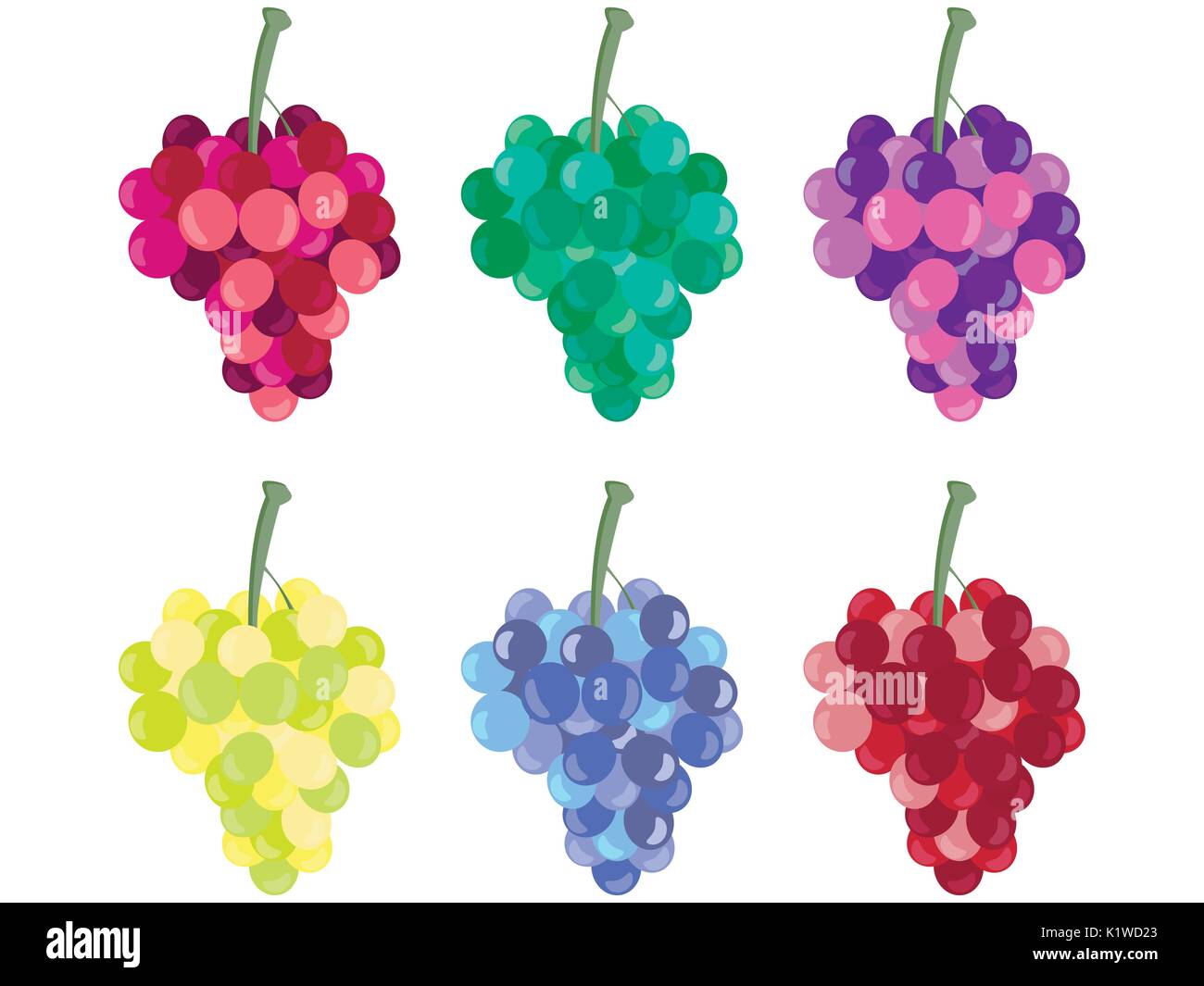 White grape varieties Stock Vector Images - Alamy