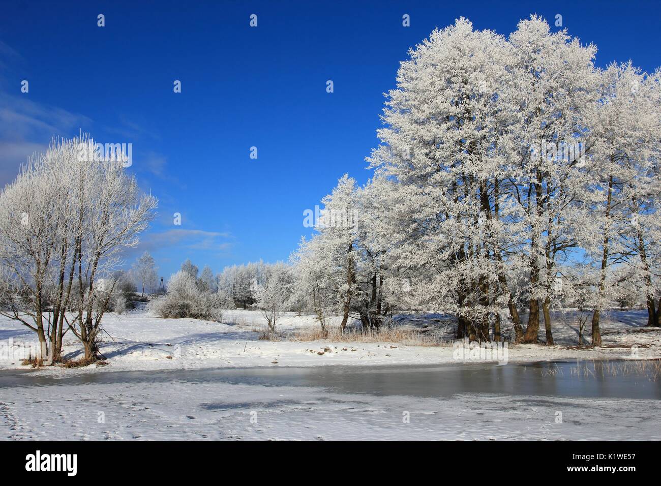 Frozen lake and frost on trees, winter landscape Stock Photo - Alamy