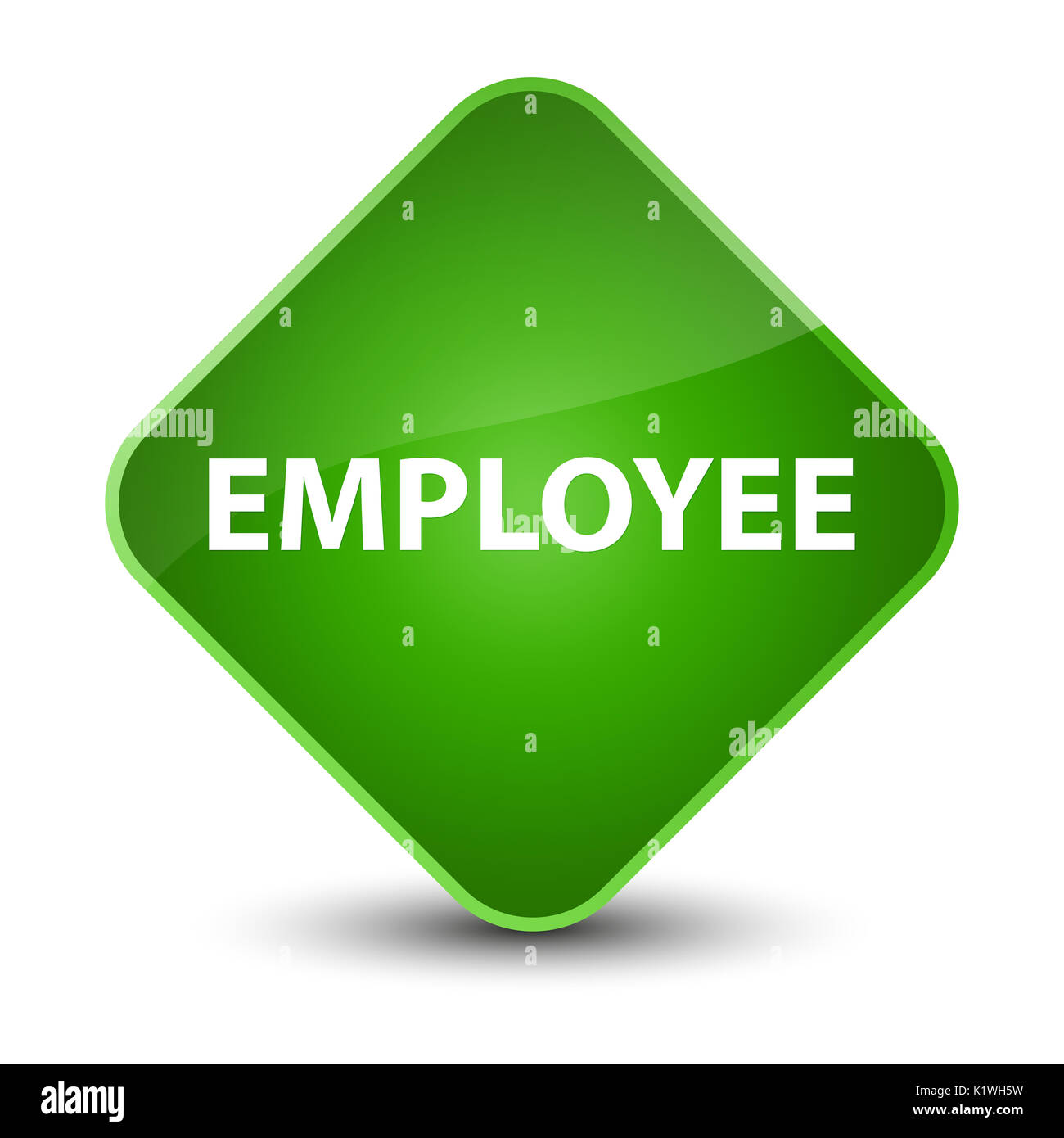 Employee isolated on elegant green diamond button abstract illustration ...