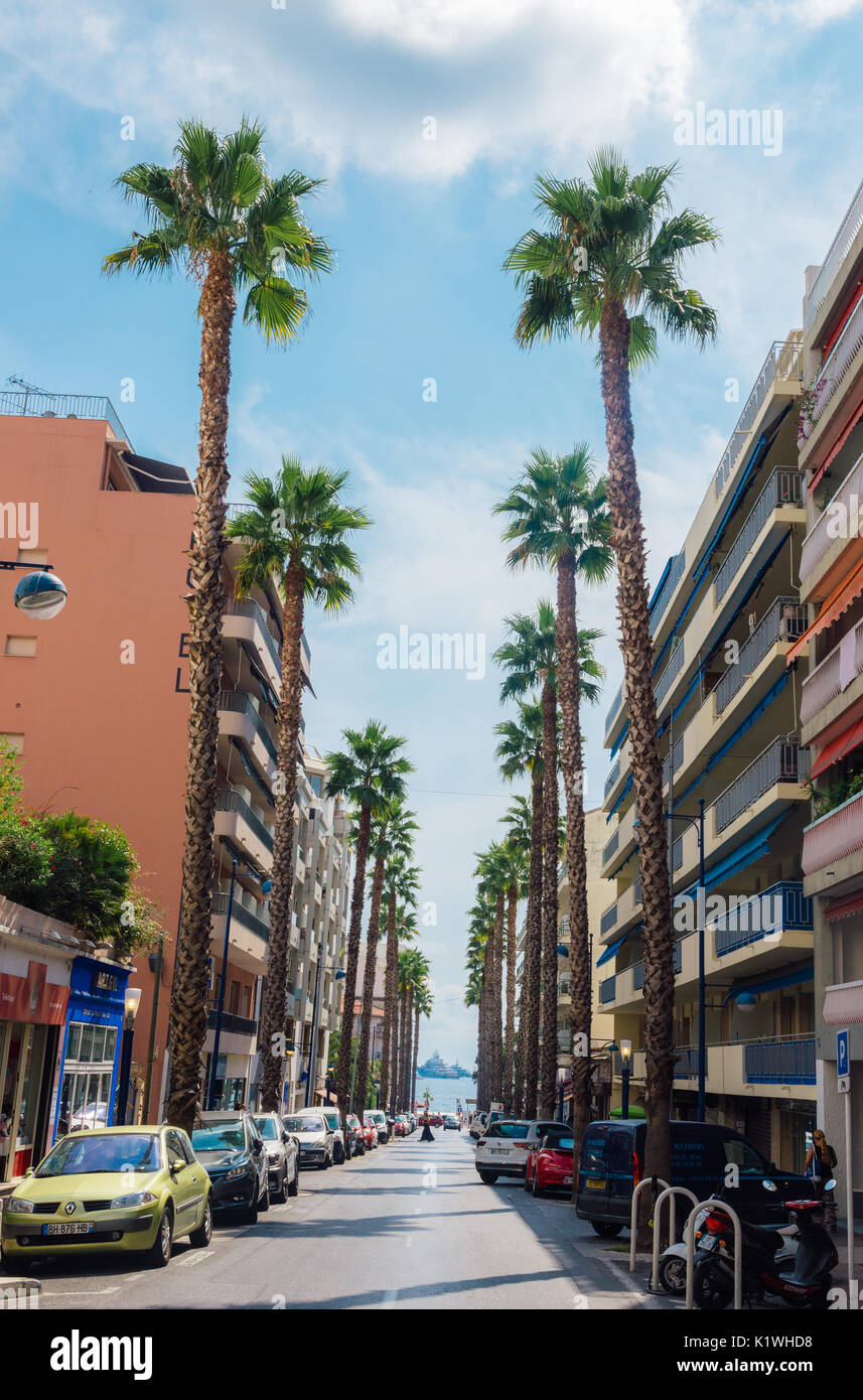 Tree-lined boulevard with palm trees in Juan les Pins, Cote d'Azur ...