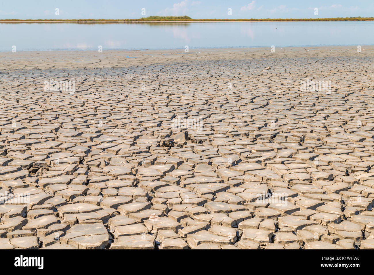 cracked clay soil beach on clear lagoon water Stock Photo - Alamy