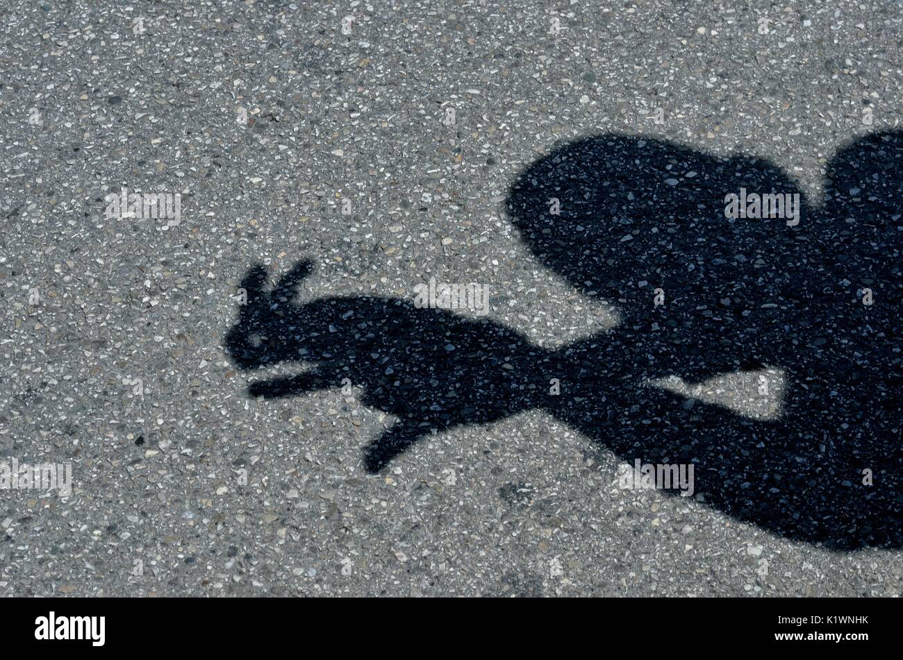 Hand Art - creating a graphic from of shadows on the street surface by ...