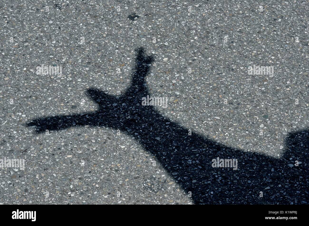 Hand Art - creating a graphic from of shadows on the street surface by ...