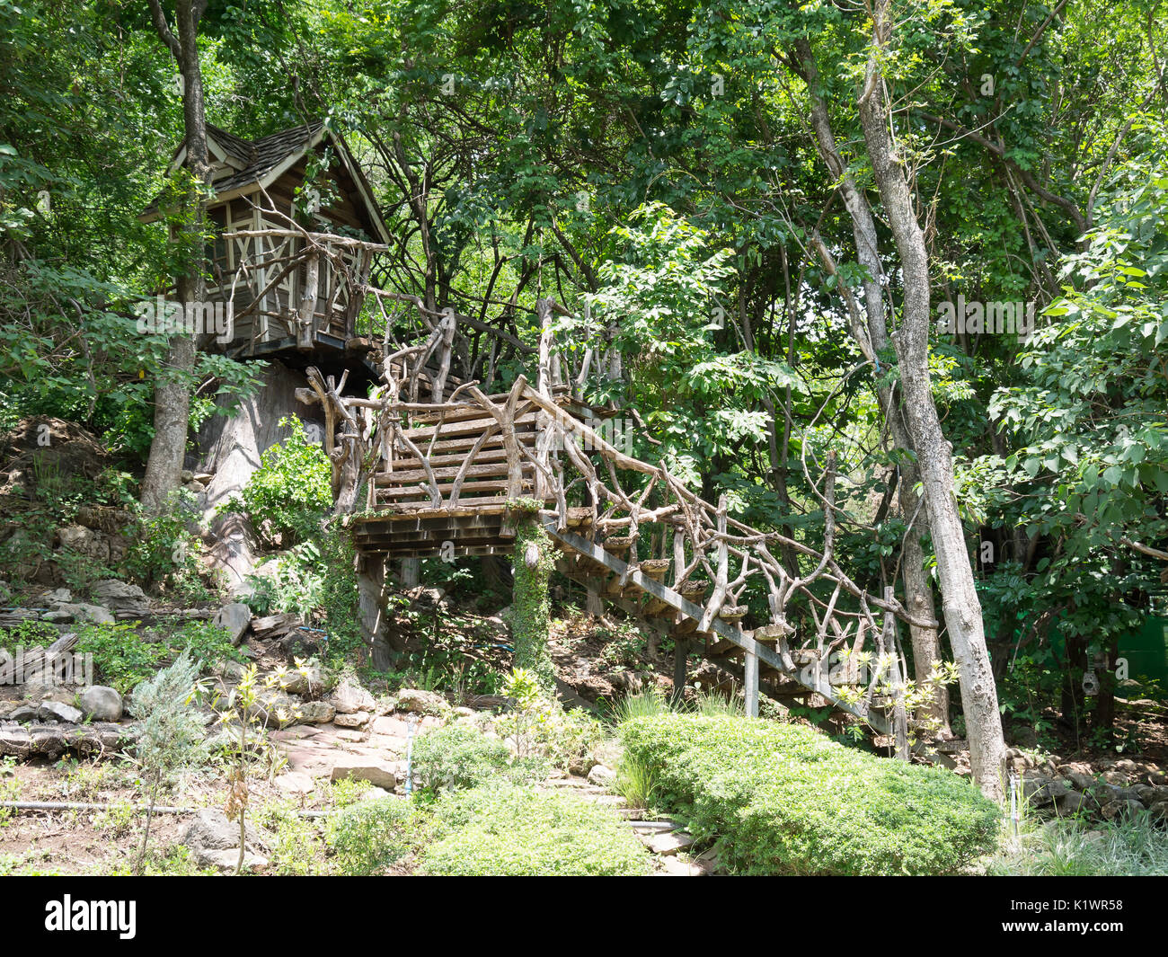 Beautiful tree house in a forest environment Stock Photo - Alamy