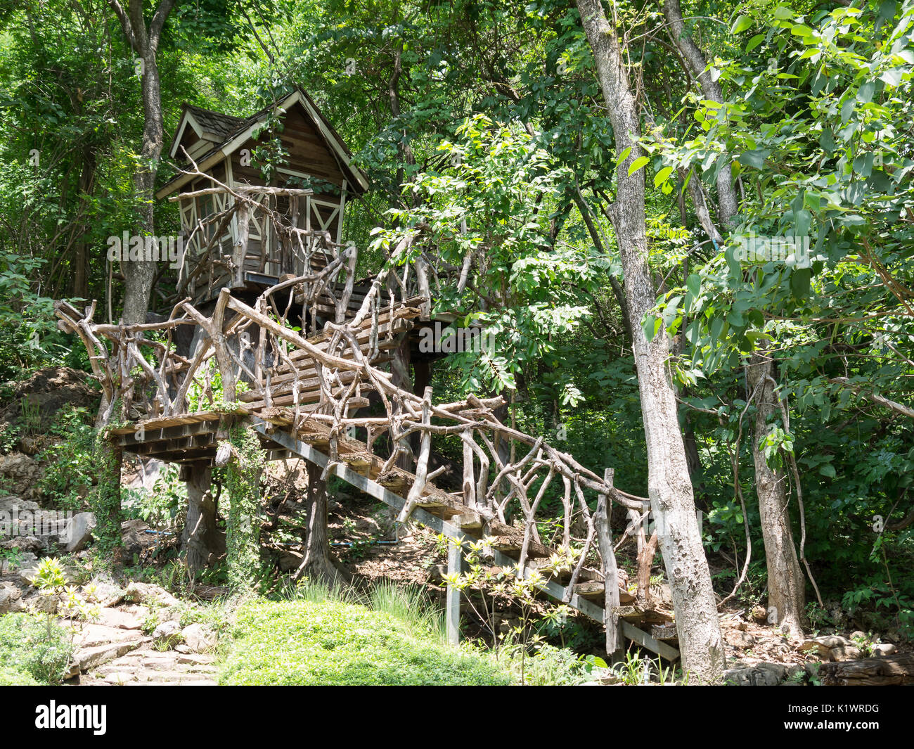 Beautiful tree house in a forest environment Stock Photo - Alamy