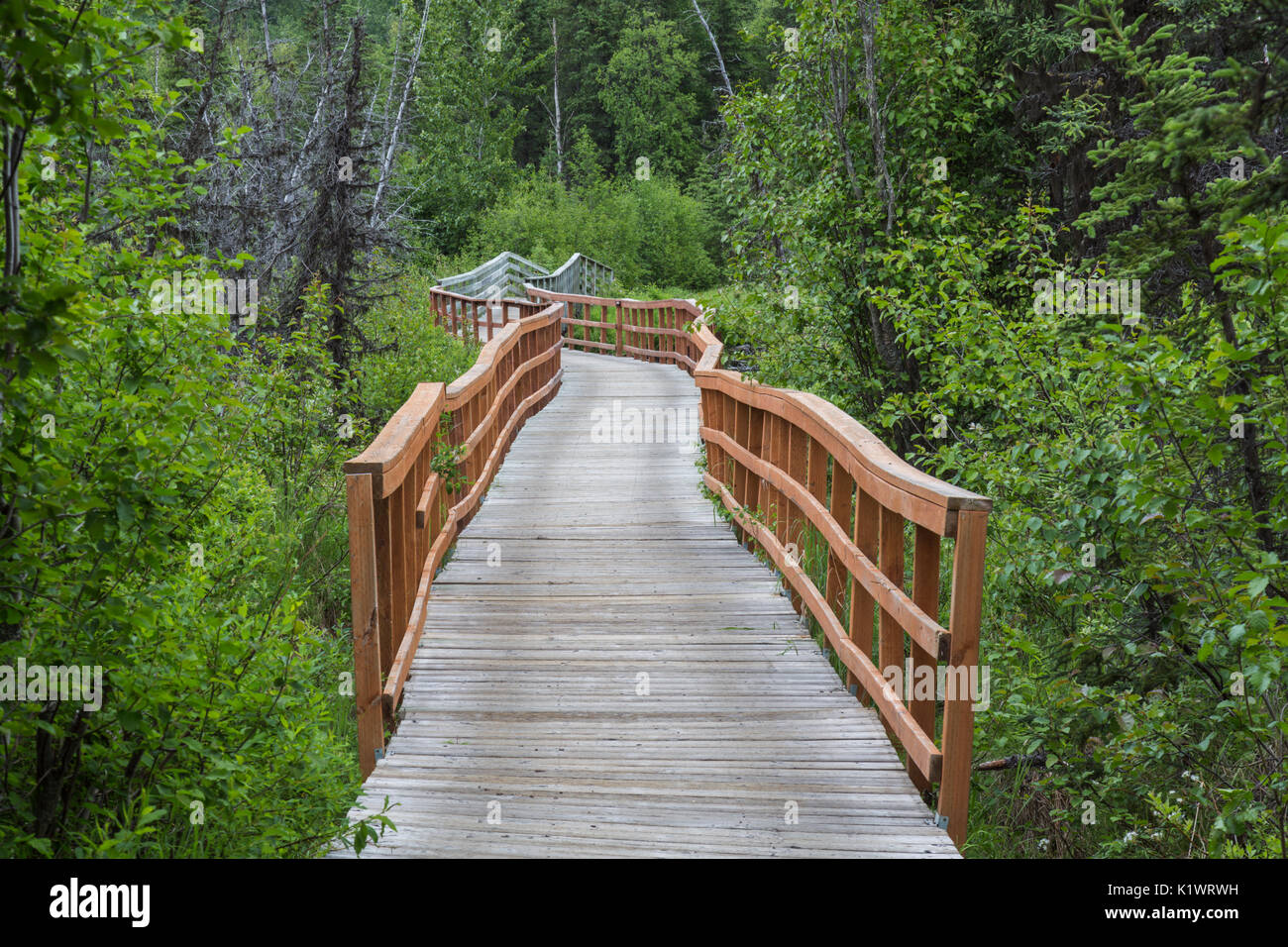 Wooden boardwalk, Eagle River, Nature Center Trail, Anchorage, Alaska ...
