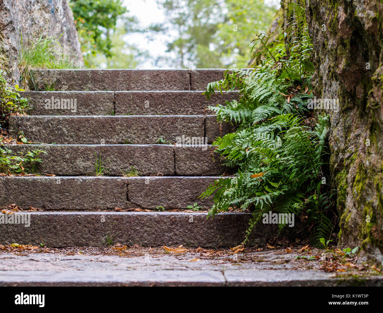 Stone stair stairs staircase steps hi-res stock photography and images ...