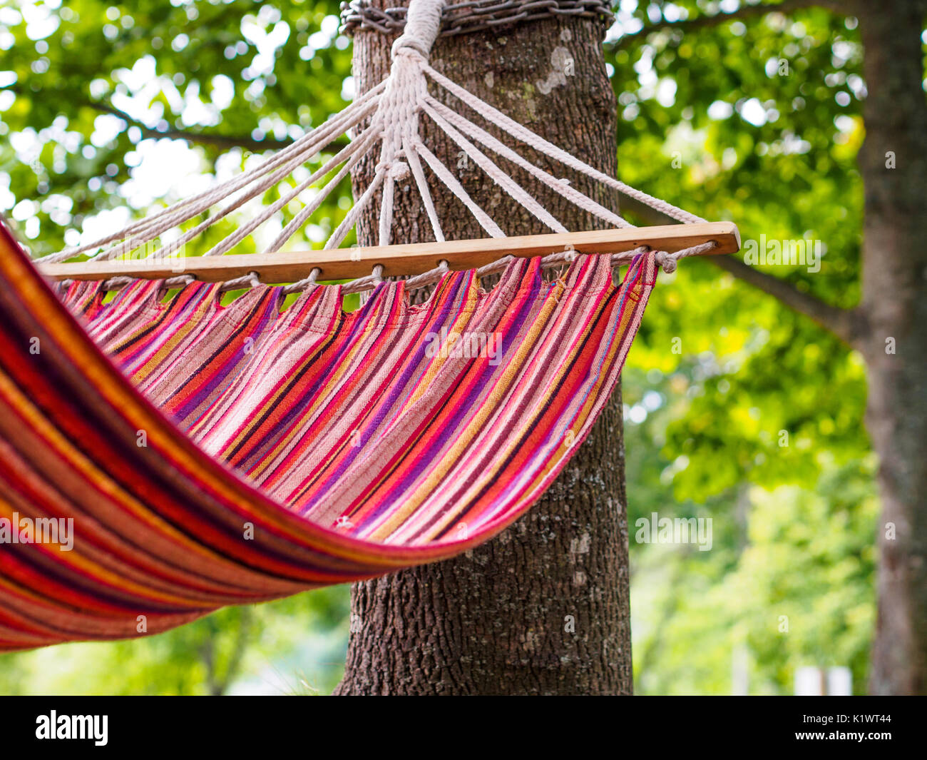 Empty hammock by a tree Stock Photo - Alamy