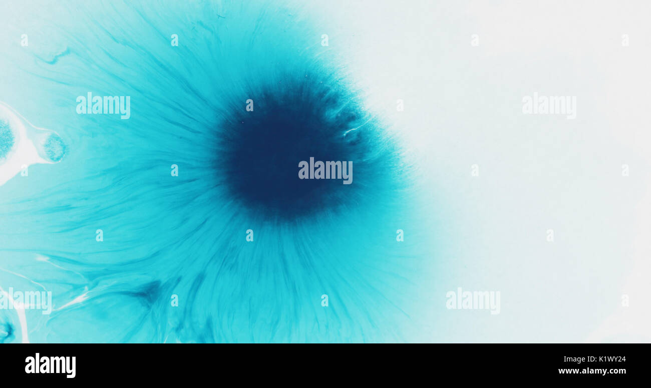 turquoise blue ink drop on wet white paper top view, wide photo Stock ...