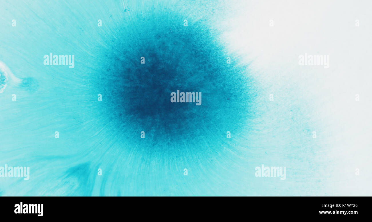 turquoise blue ink drop on wet white paper top view, wide photo Stock ...