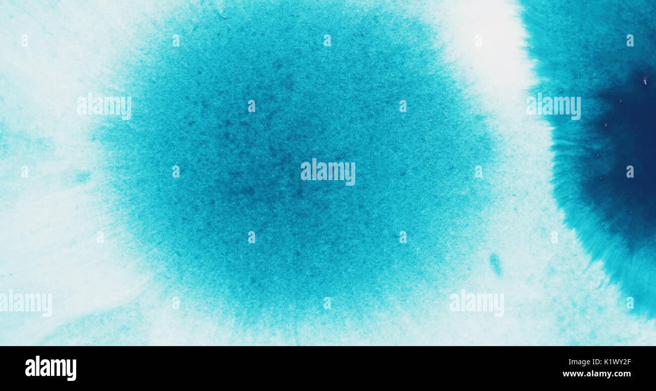 turquoise blue ink drop on wet white paper top view, wide photo Stock ...