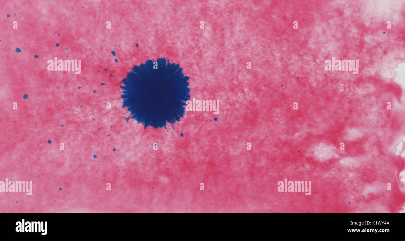 blue ink drop on wet pink paper top view, wide photo Stock Photo - Alamy