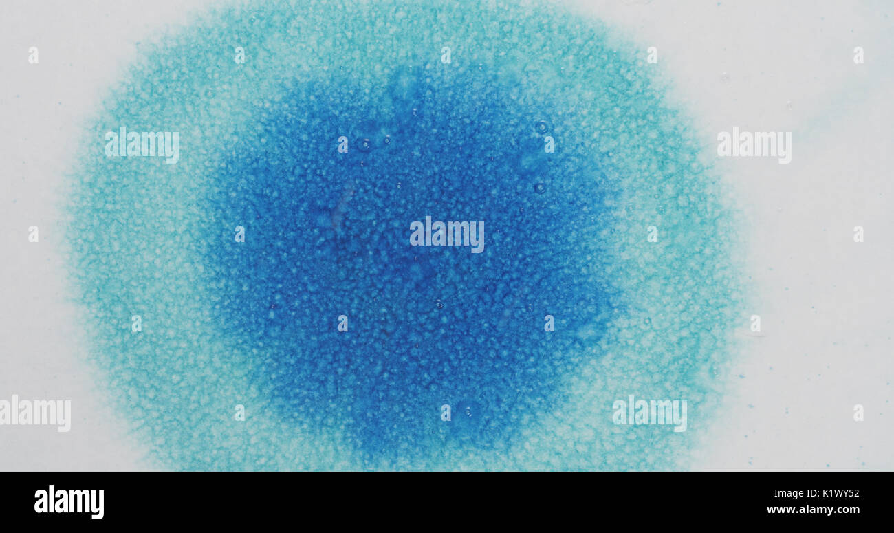 turquoise blue ink drop on wet white paper top view, wide photo Stock ...