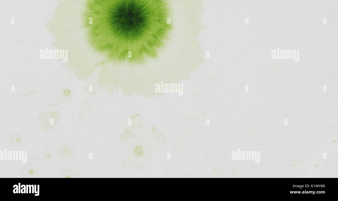 green ink drop on wet white paper top view, wide photo Stock Photo - Alamy