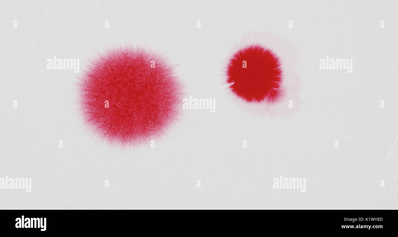 pink ink drop on wet white paper top view, wide photo Stock Photo - Alamy