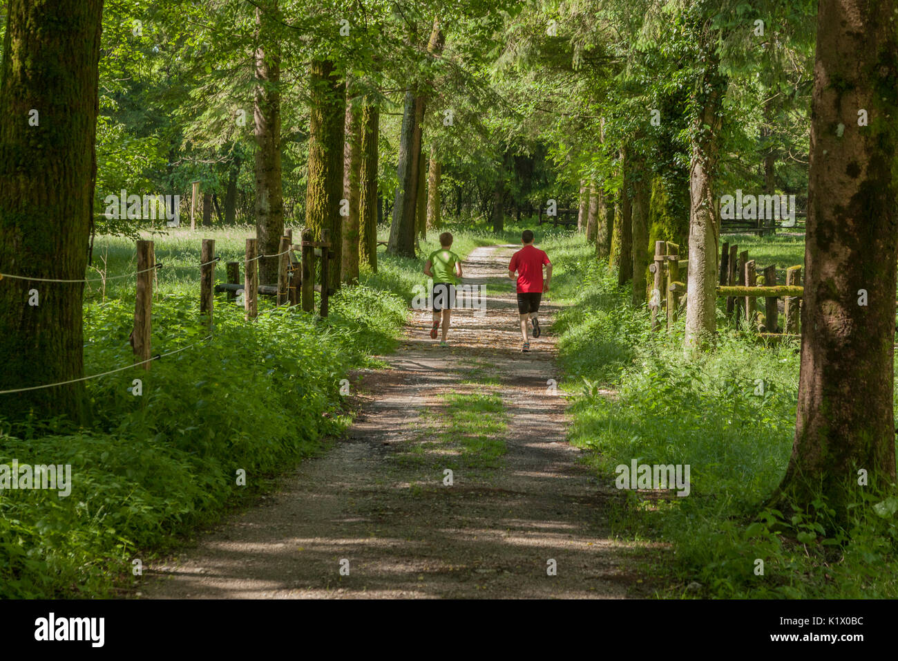 Sedico hi-res stock photography and images - Alamy