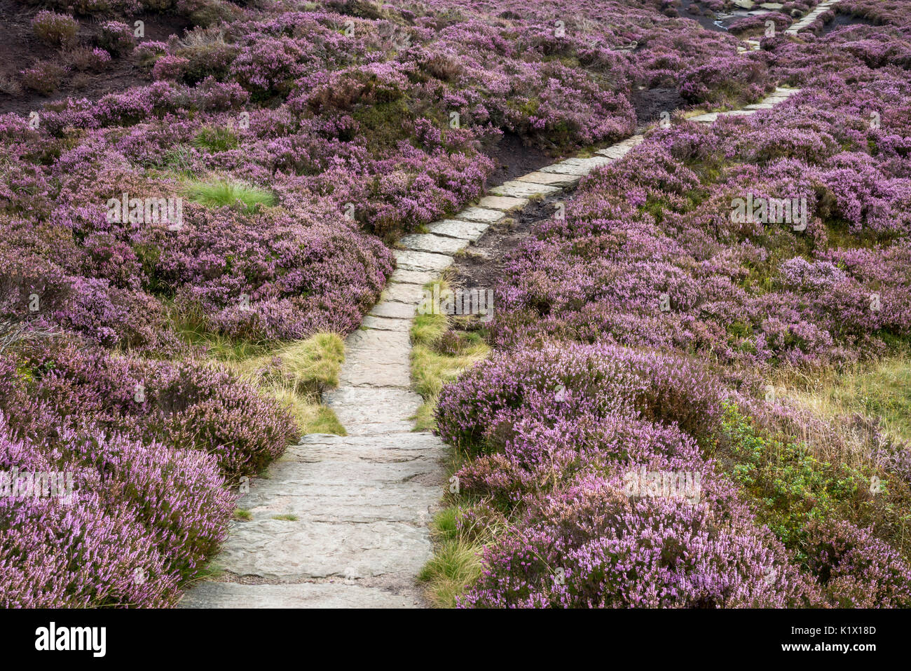 Moorland erosion hi-res stock photography and images - Alamy