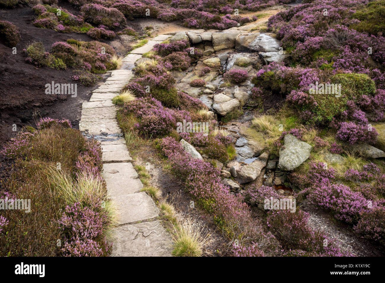Moorland erosion hi-res stock photography and images - Alamy
