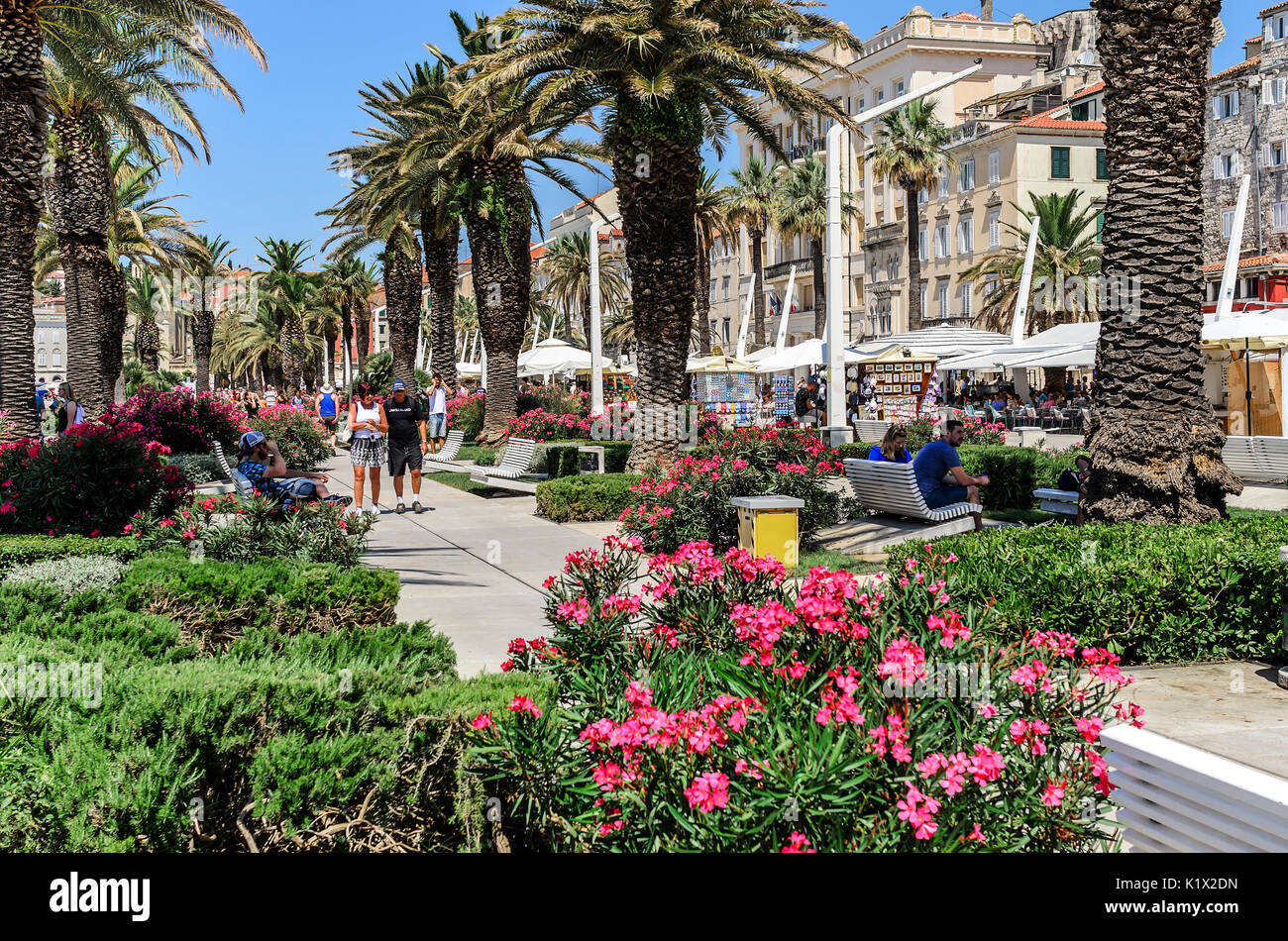 Central street of the tourist city of Split, Croatia Stock Photo - Alamy