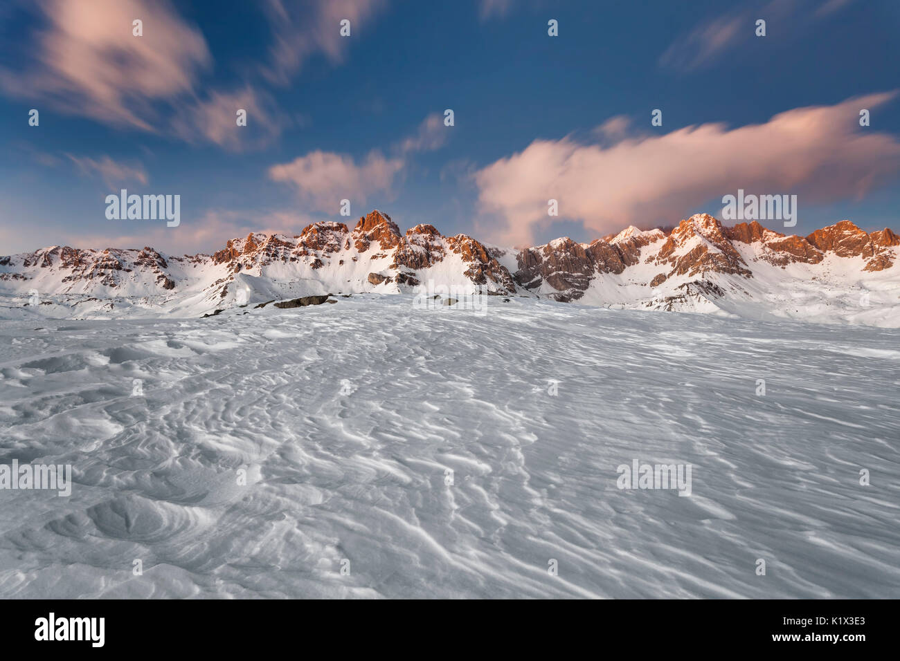 Cima margherita hi-res stock photography and images - Alamy