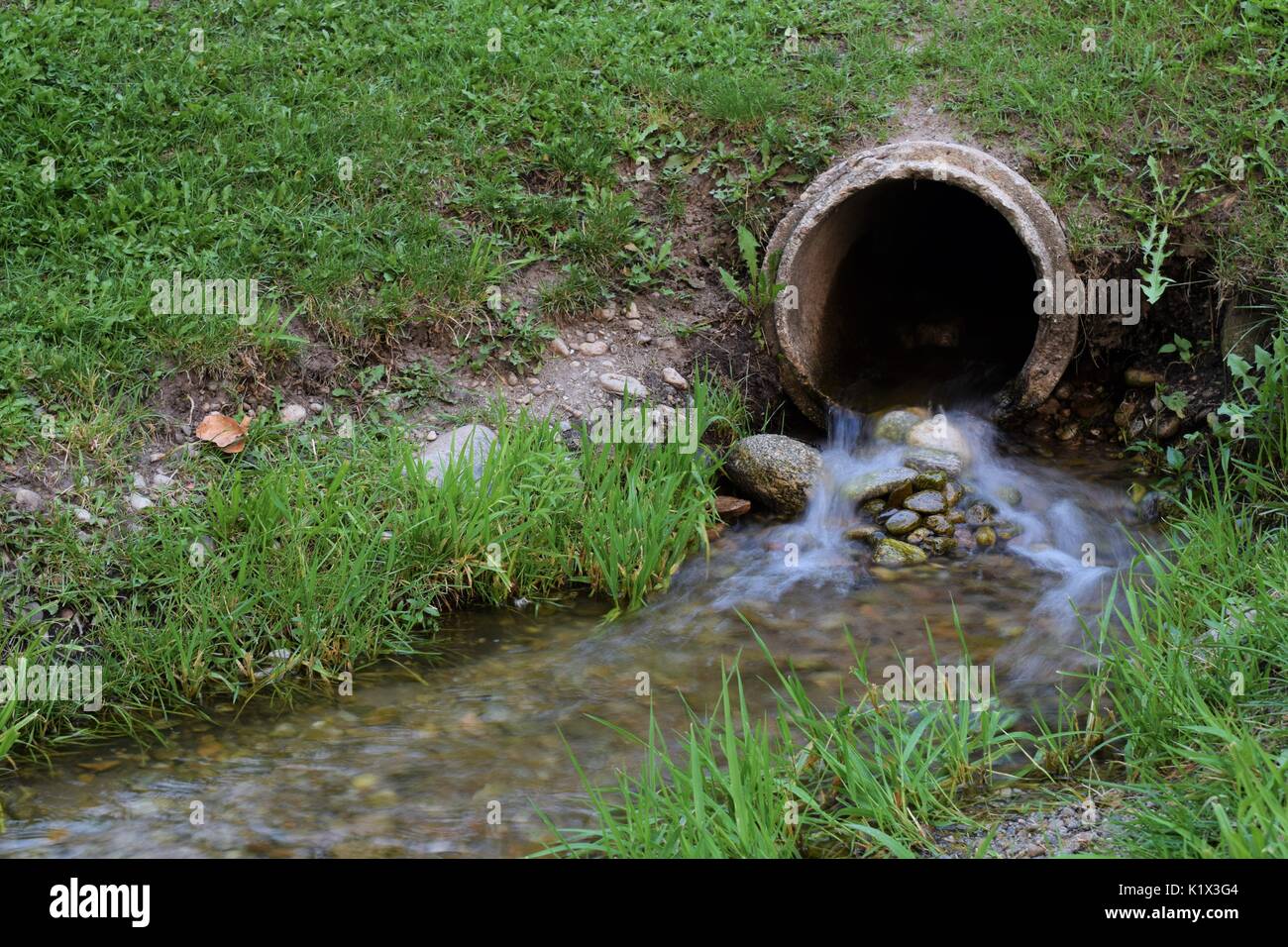 Picture from nature park hi-res stock photography and images - Alamy