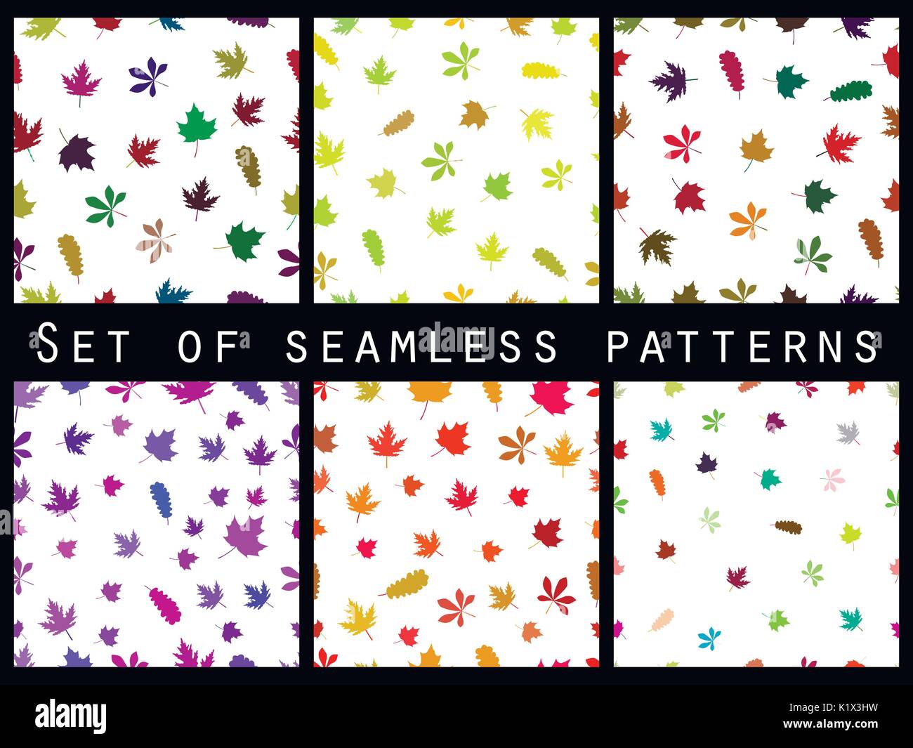 Autumn leaves seamless pattern set. Colorful leaves. Vector ...