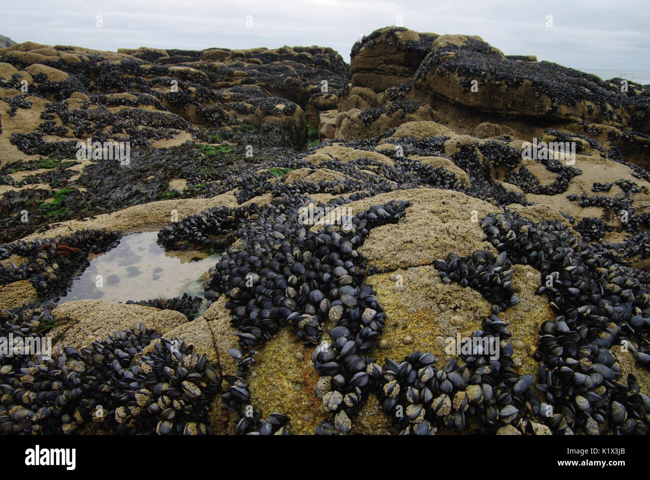 Praa Sands, Cornwall, United Kingdom Stock Photo - Alamy