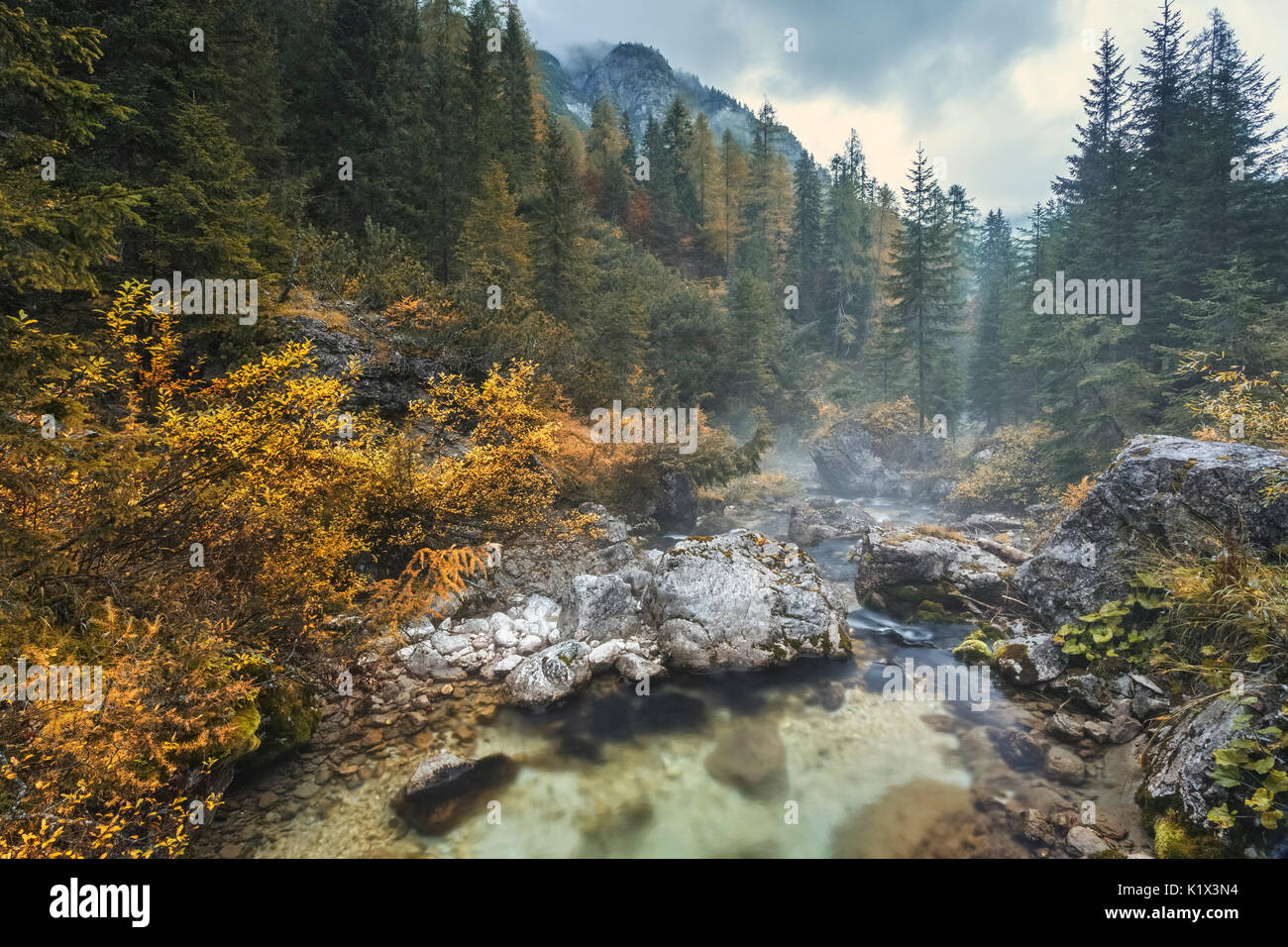 Europe, Italy, Veneto, Zoldo. Autumn in the Pecol valley near the Maè ...