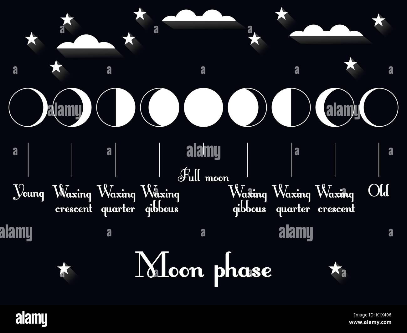 The phases of the moon. The whole cycle from new moon to full. Vector ...