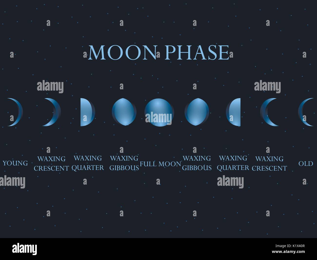 Phases Of The Moon Illustration High Resolution Stock Photography and ...