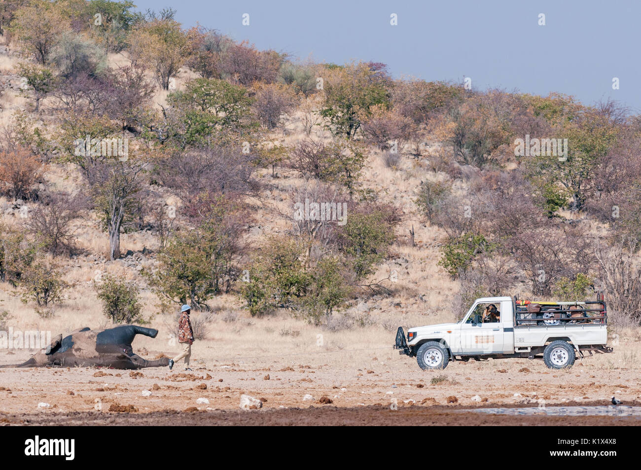Death of rangers hi-res stock photography and images - Alamy