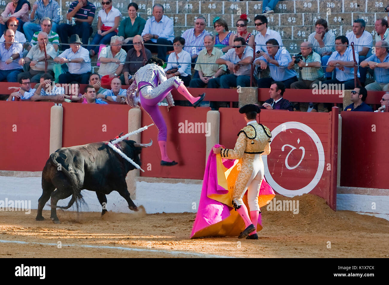 Bull chases a bullfighter who jumps through the barrier, òbeda ...